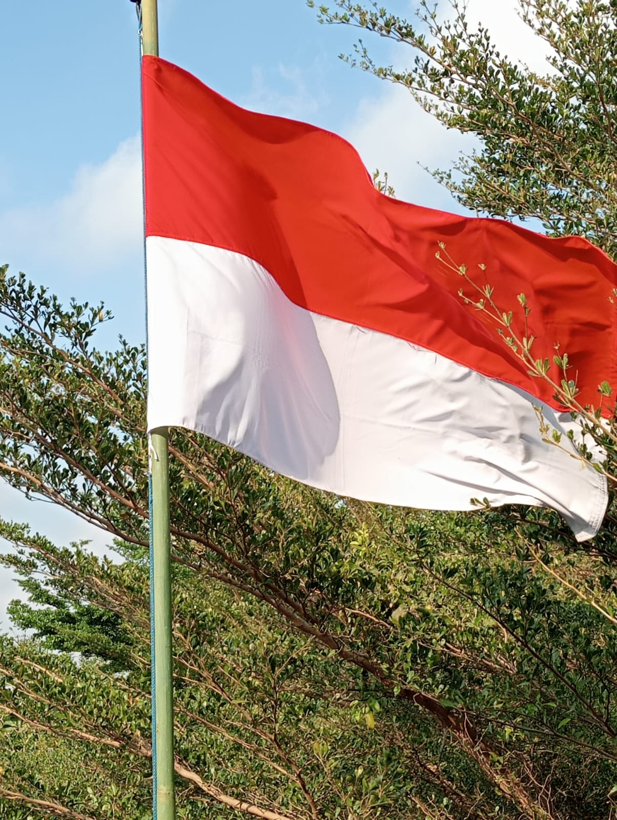 Upacara Bendera HUT RI ke-79 di MTs Nurul Islam Berlangsung Khidmat dan ...